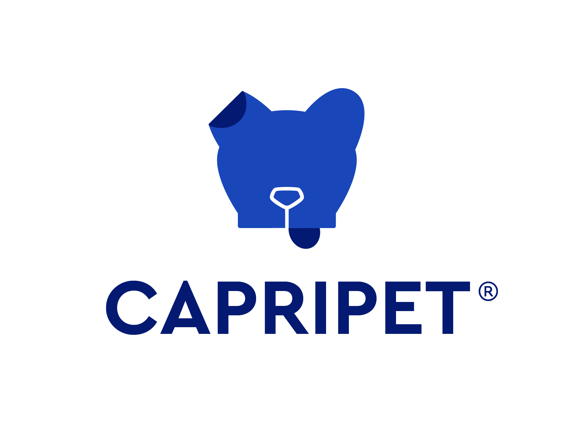 CAPRIPET luxury handmade Italian petwear from the island of Capri
